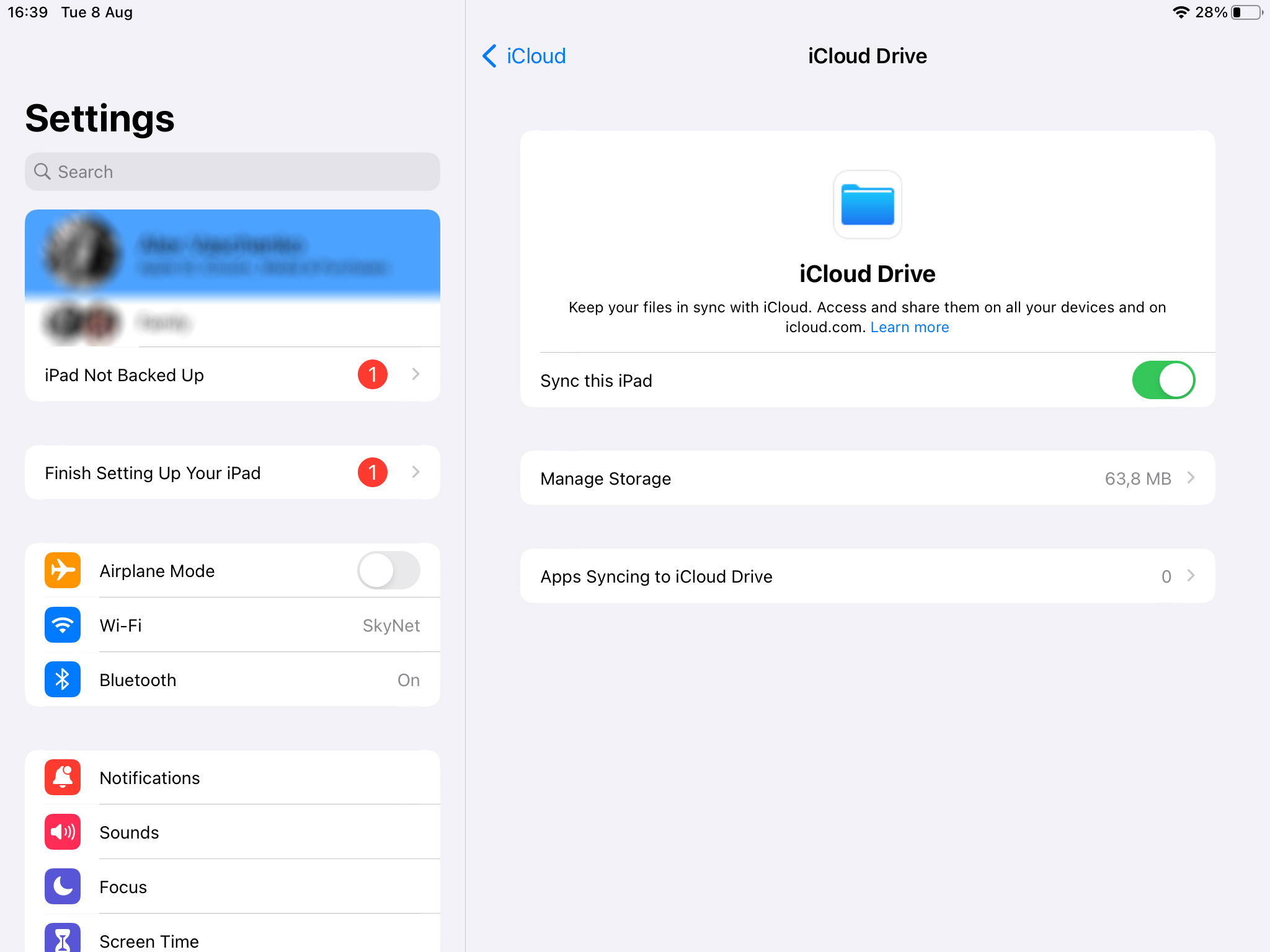 iPad Storage Full? Here's How to Clean Up iPad Space