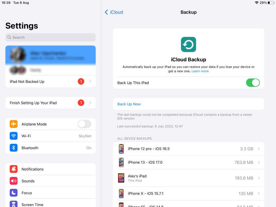 iPad Storage Full? Here's How to Clean Up iPad Space