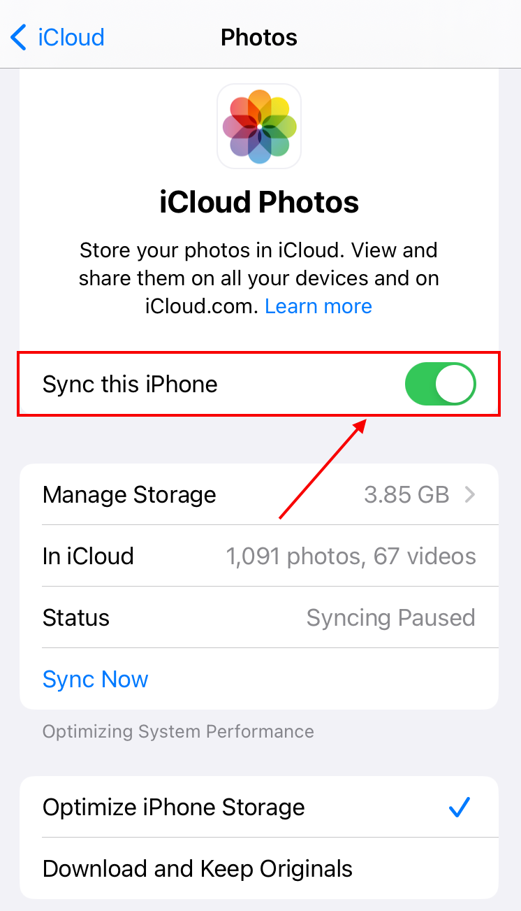 How to Optimize Photo Storage on iPhone (⭐ 5 Methods)