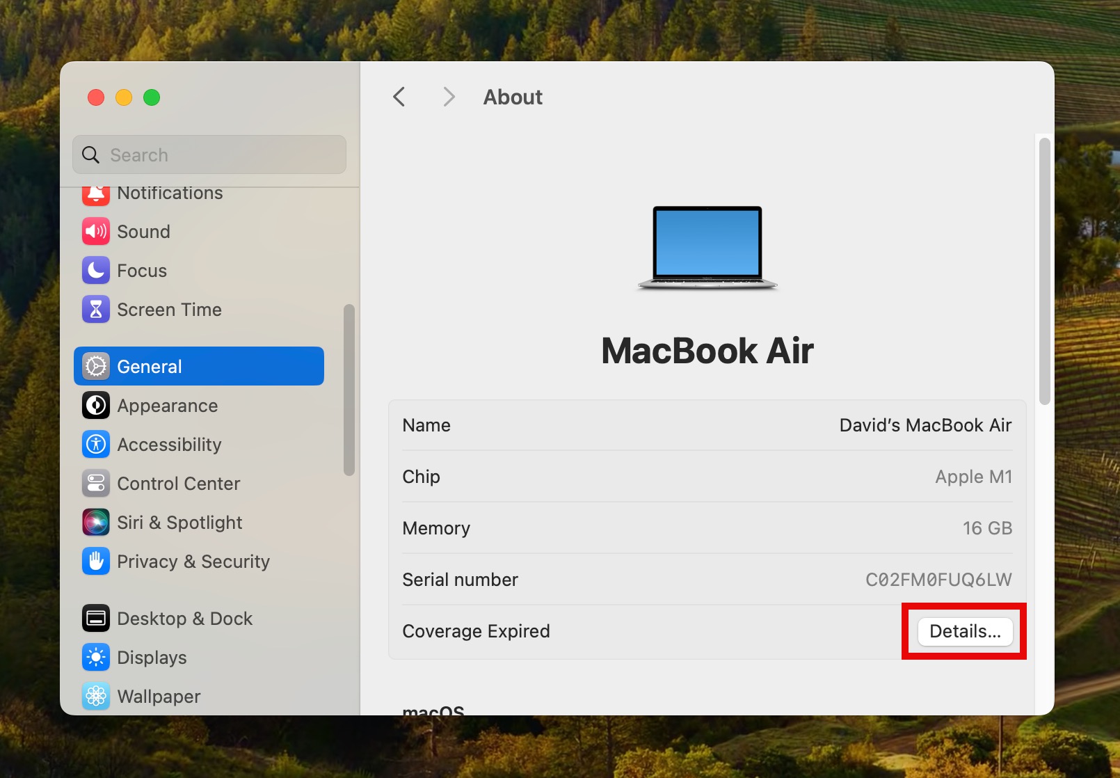 How to Get More Storage on Mac: 6 Methods (2025)